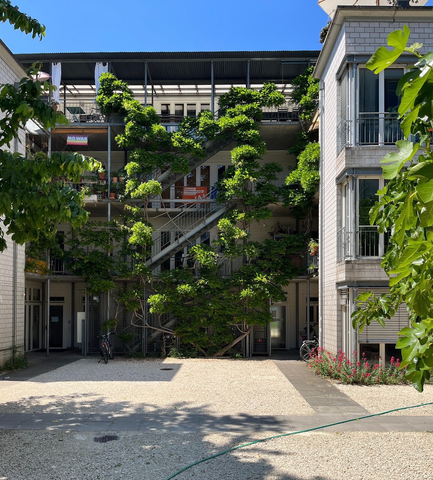 Zürich | Archipel